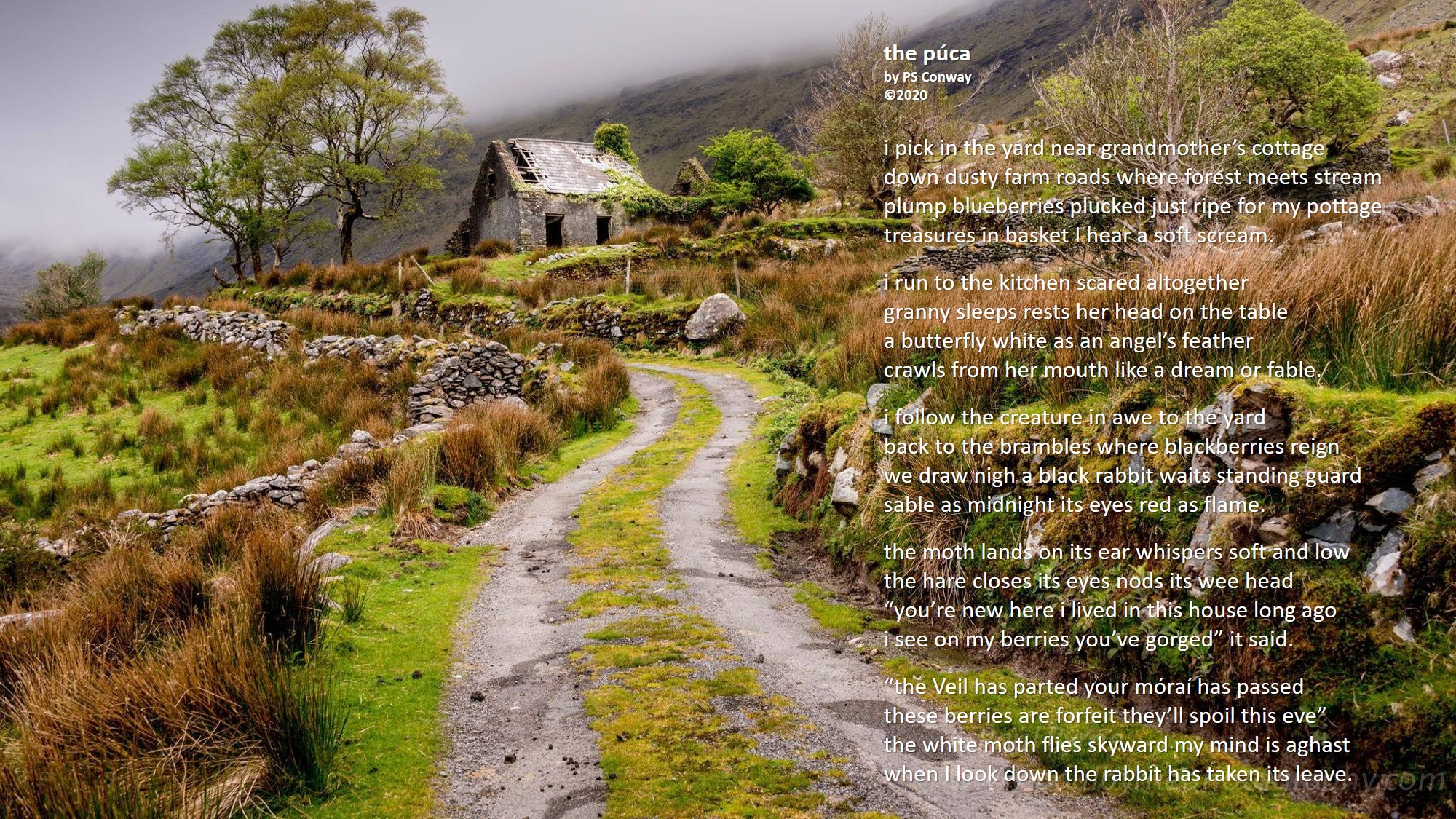 the-puca – Poetry by PS Conway