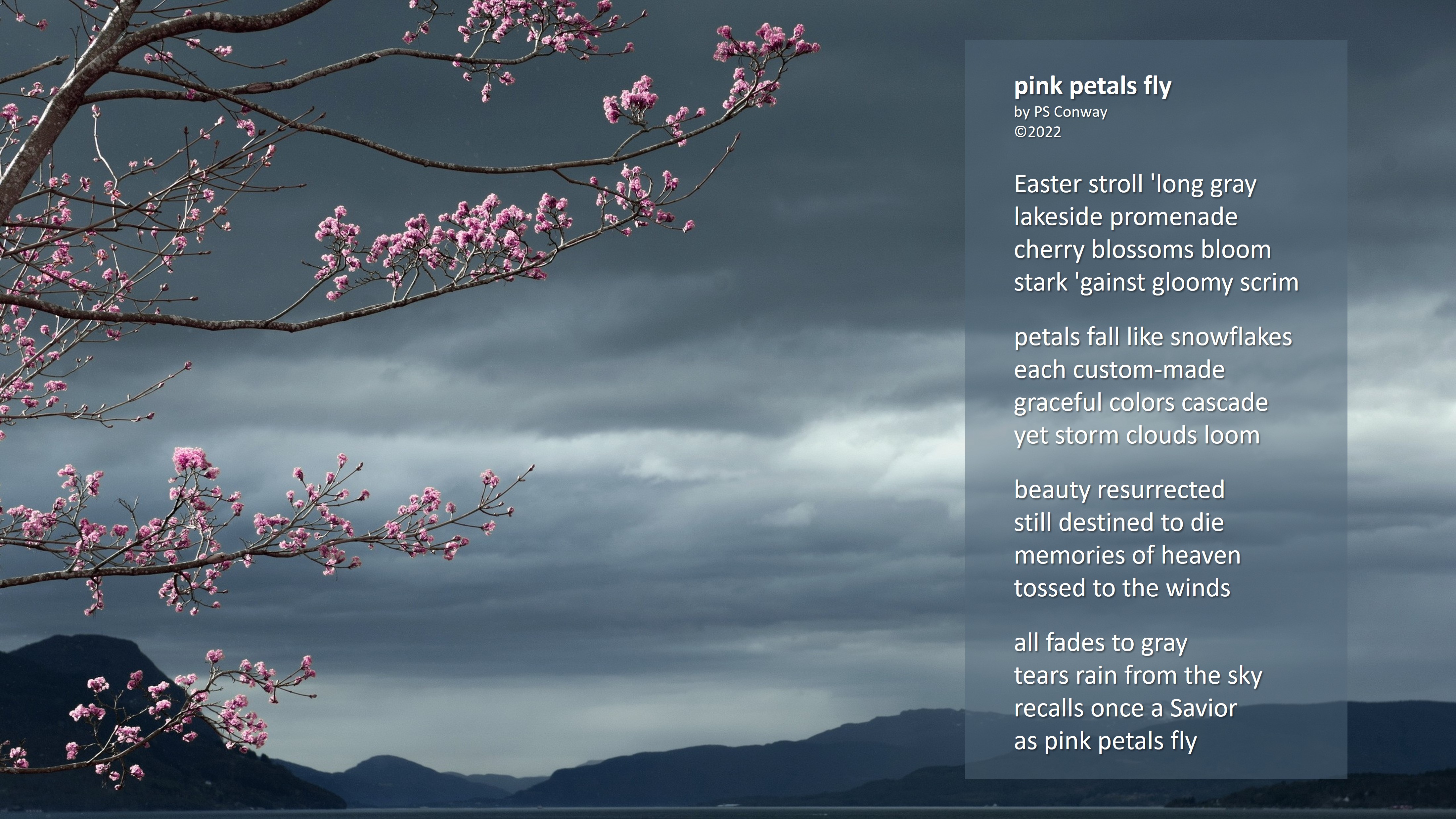 pink-petals-fly – Poetry by PS Conway