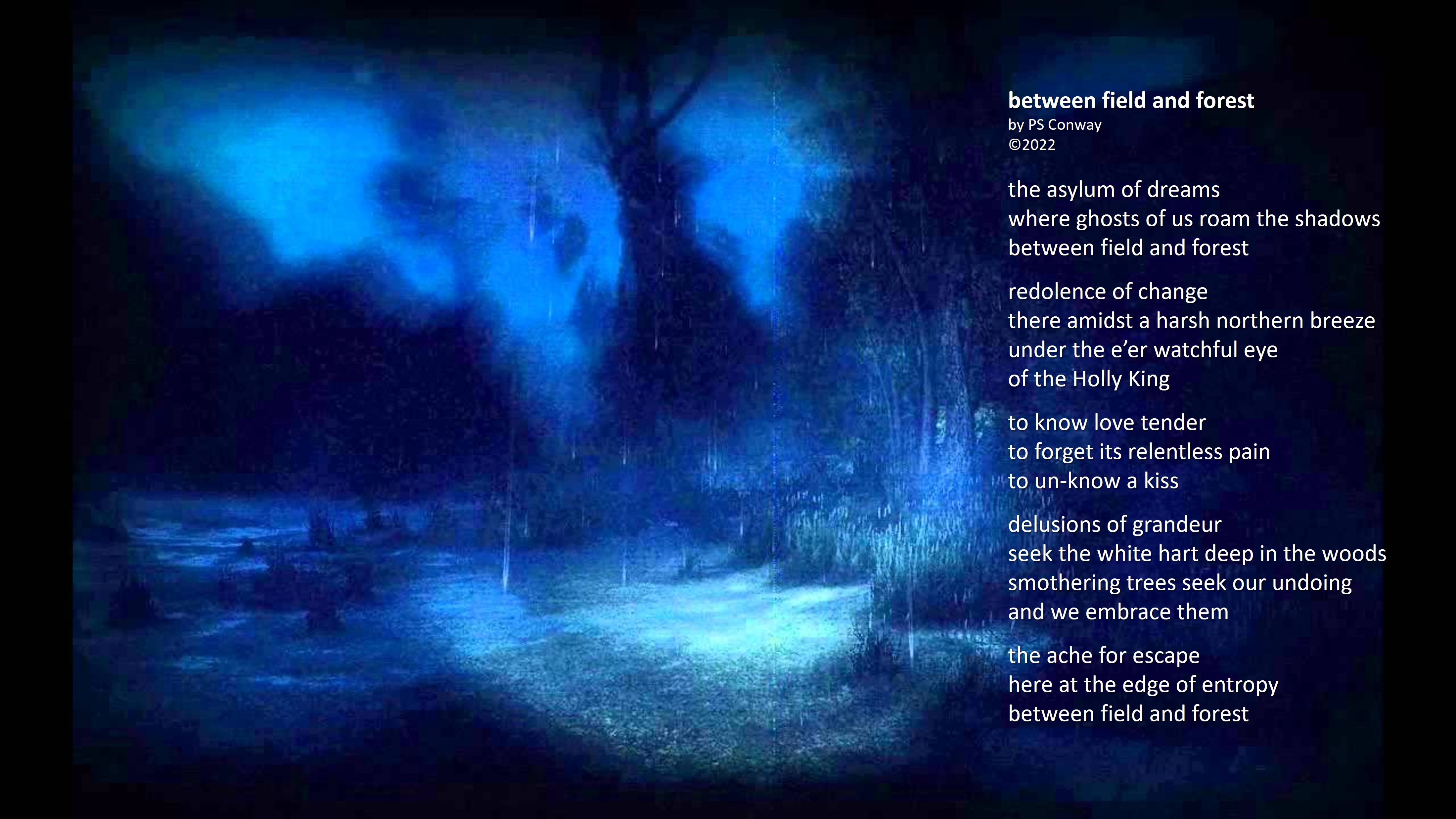 between-field-and-forest – Poetry by PS Conway