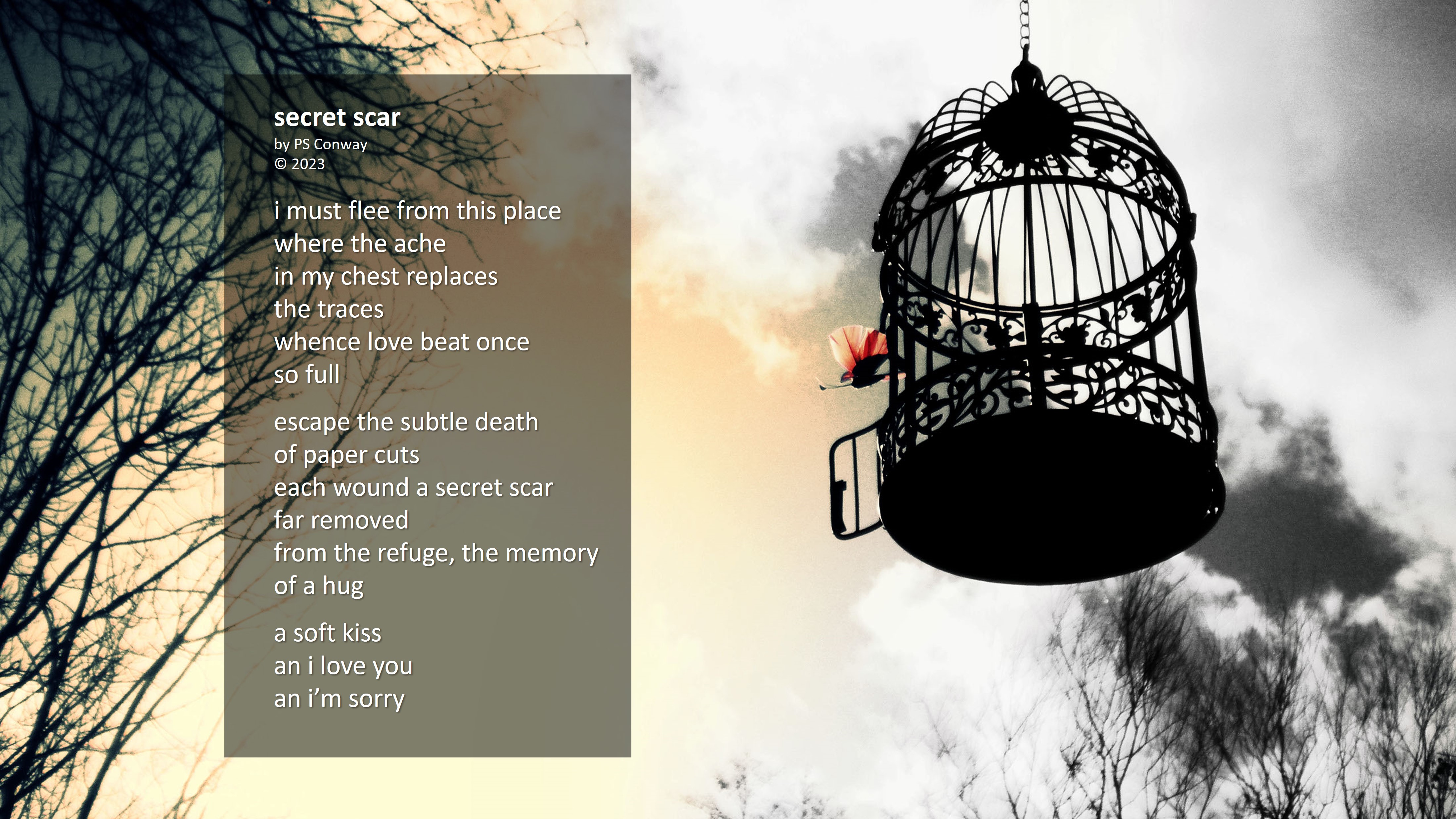 secret-scar – Poetry by PS Conway